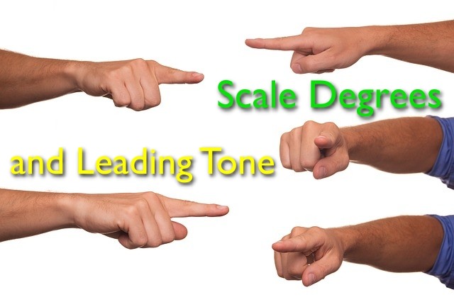 Scale Degrees and Leading Tone | BEYOND MUSIC THEORY